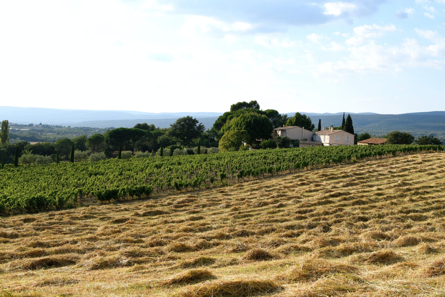 Perréal - Le Domaine