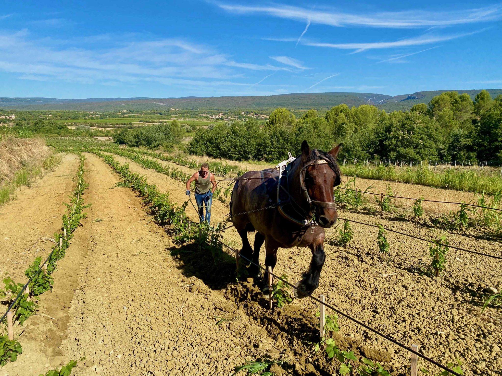 Perréal - Le Domaine